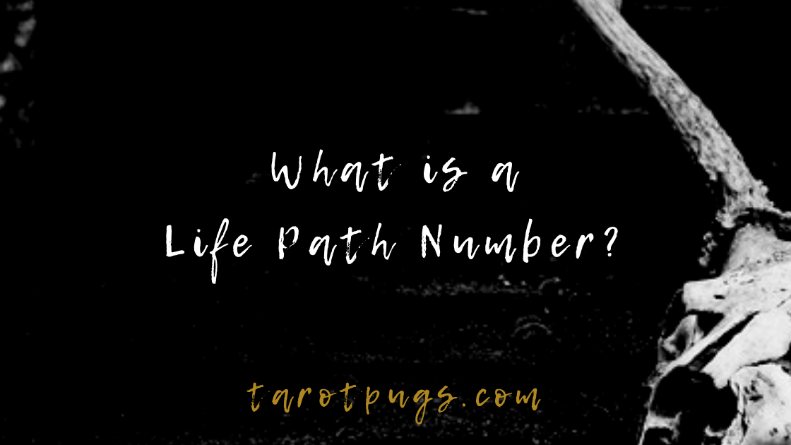 What is a Life Path Number? | TarotPugs