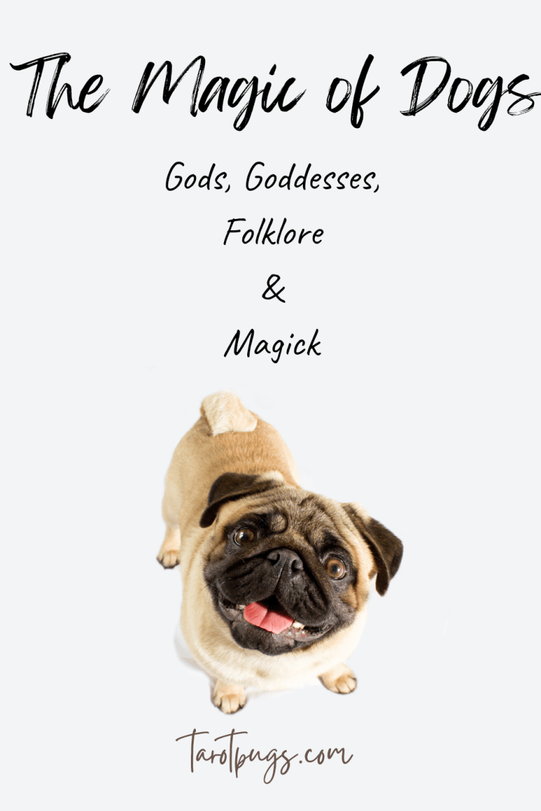 The Magic of Dogs: Gods, Goddesses, Folklore & Magick | TarotPugs
