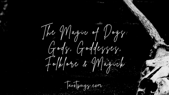 The Magic of Dogs: Gods, Goddesses, Folklore & Magick | TarotPugs