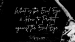 Pug Tarot Review | TarotPugs