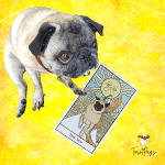 Gods & Goddesses in Tarot | TarotPugs