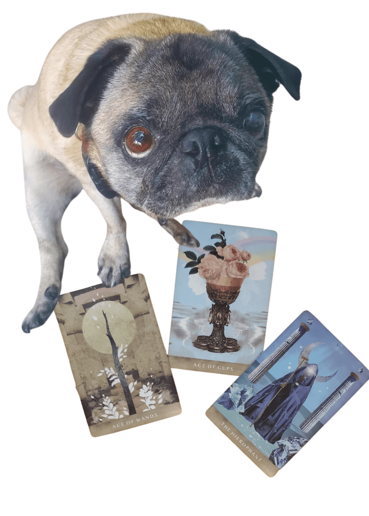 TarotPugs | Tarot, Spirituality & Pugs