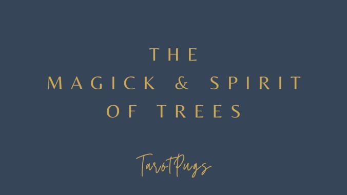 The Magick & Spirit of Trees | TarotPugs