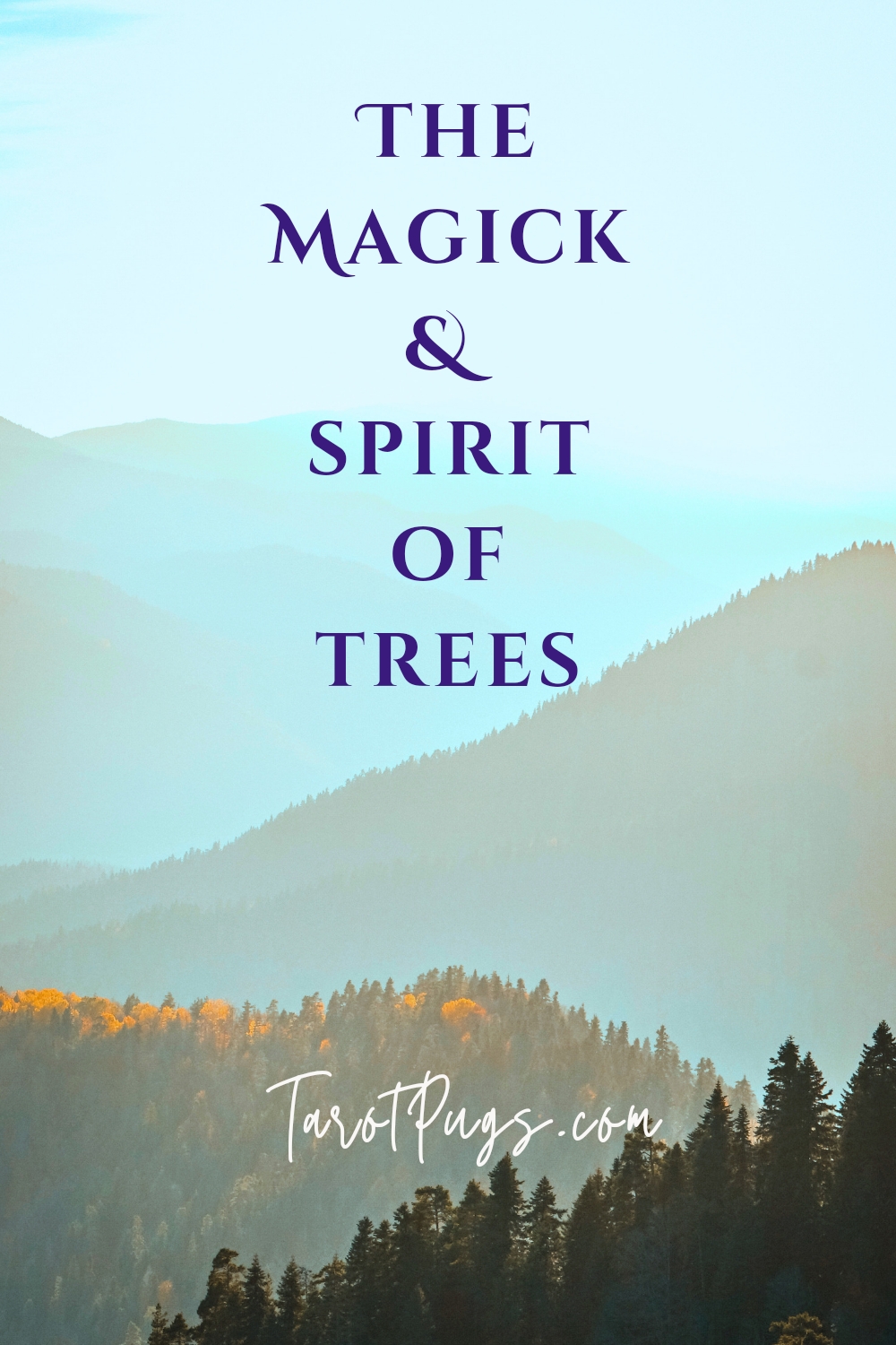 The Magick & Spirit of Trees | TarotPugs