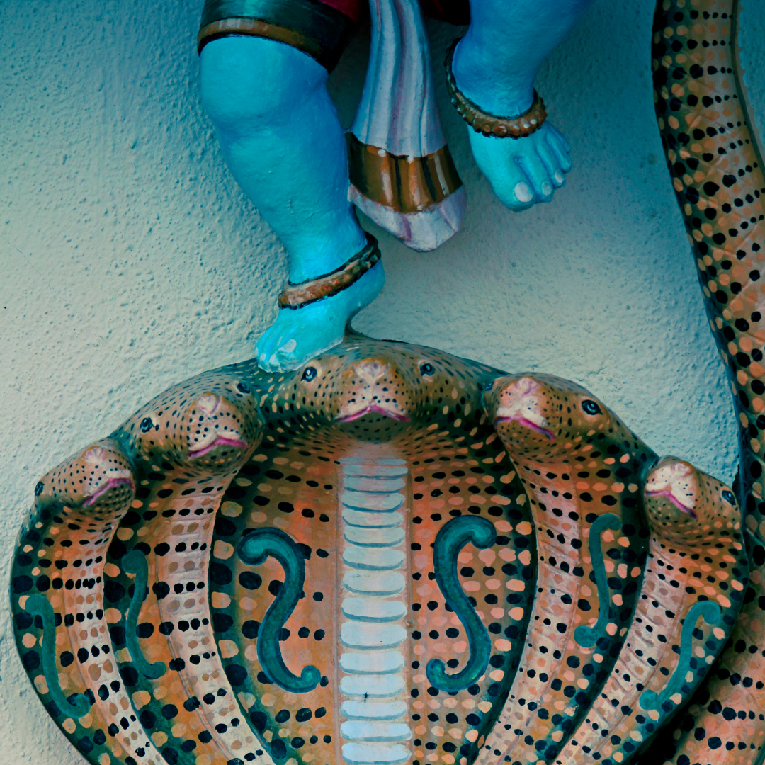 Snakes & Spirituality | TarotPugs